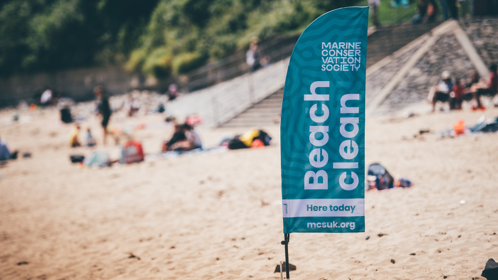 Learn how to run a beach clean | Marine Conservation Society