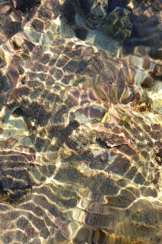 Rockpooling: A window to another world | Marine Conservation Society