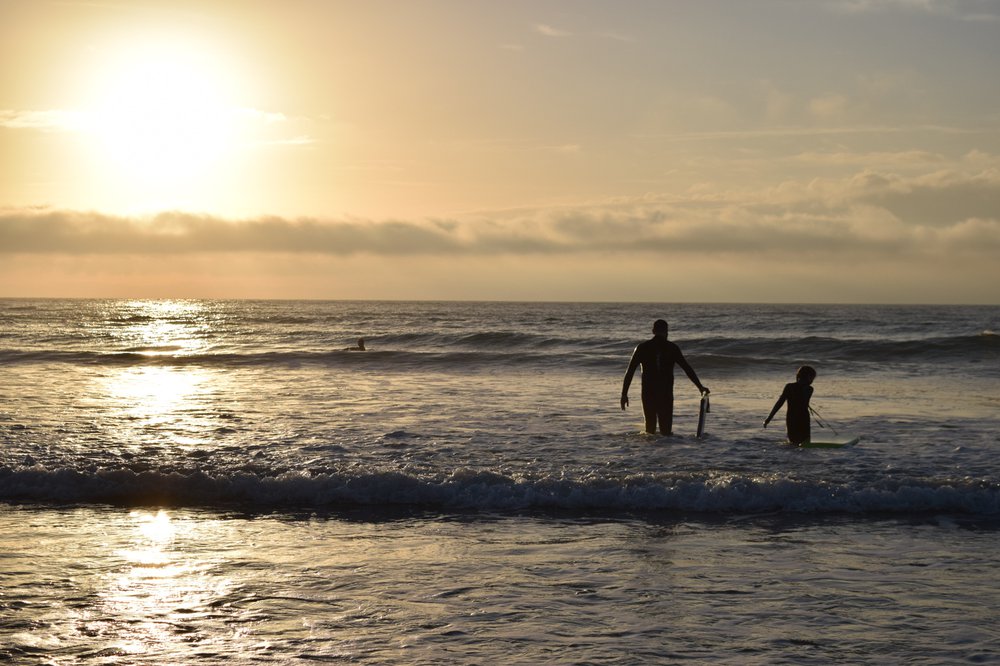 Ocean-friendly living | What you can do | Marine Conservation Society