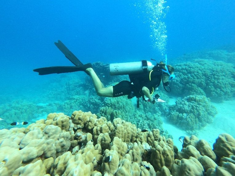 A story from the Red Sea | Marine Conservation Society