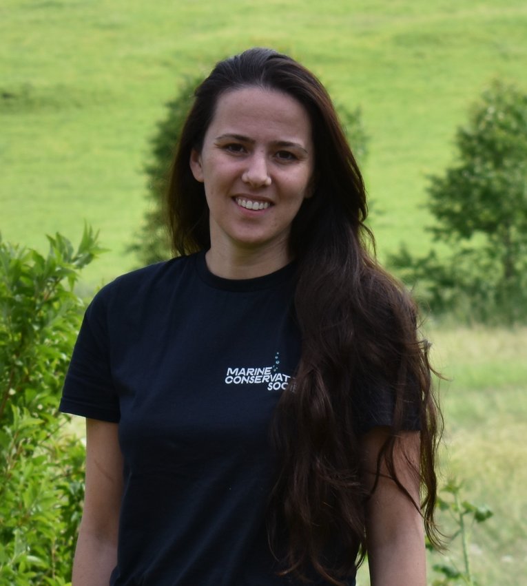 Beneath the Waves: Forever Chemicals | Marine Conservation Society