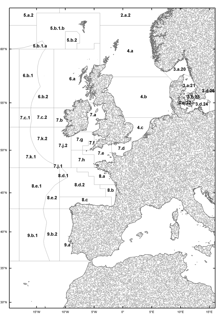 Where was my seafood caught? | Marine Conservation Society