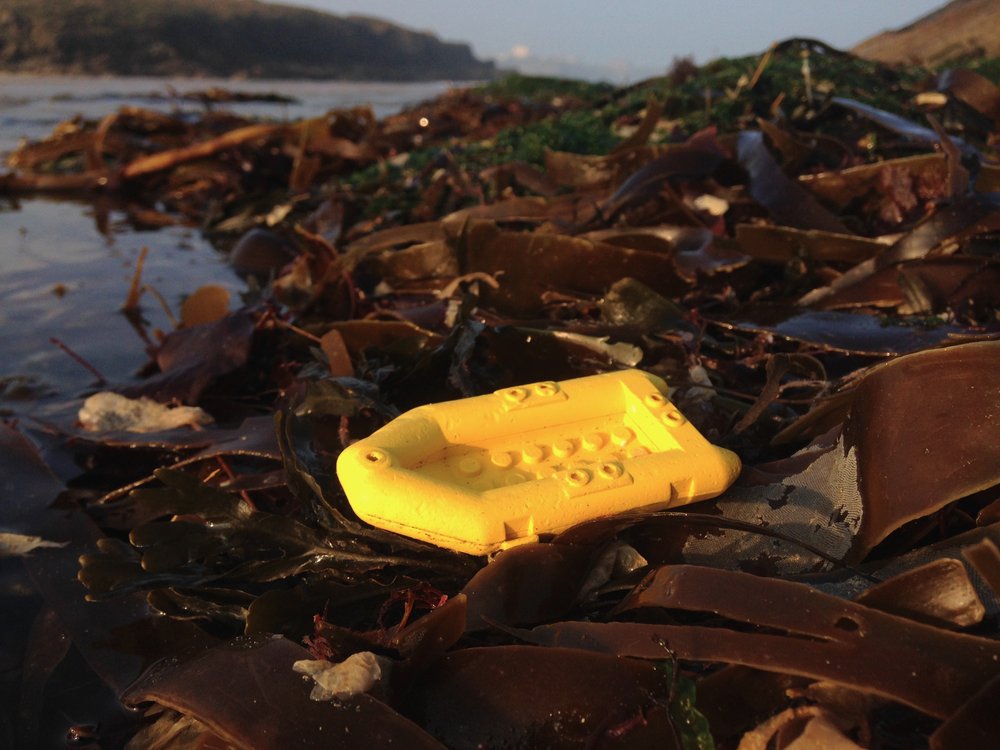 Adrift: The legacy of Lego lost at sea | Marine Conservation Society