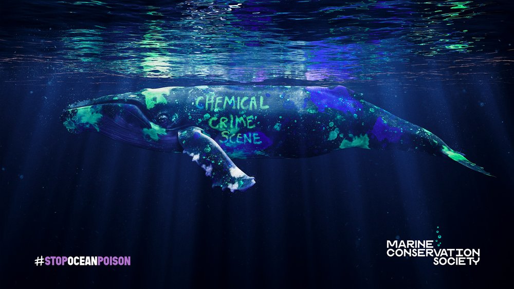 #StopOceanPoison launch | Marine Conservation Society | Marine ...