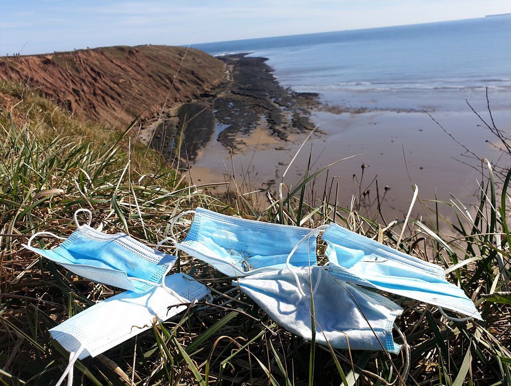 PPE pollution on the rise | Latest news | Marine Conservation Society