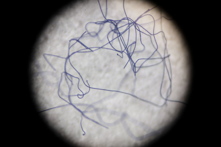 Be the Wave | Marine Conservation Society