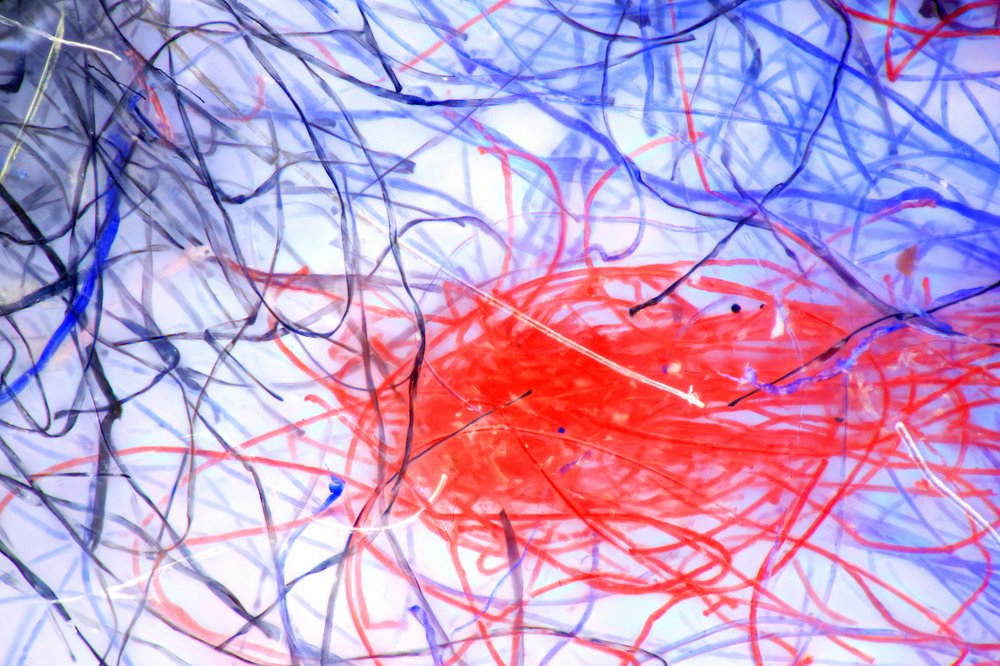 Microfibre pollution | Latest news | Marine Conservation Society