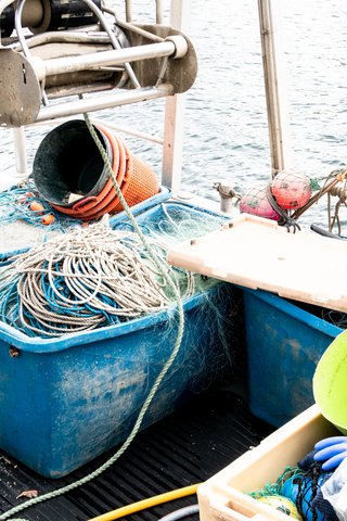 Climate-smart fishing report | Marine Conservation Society | Marine ...