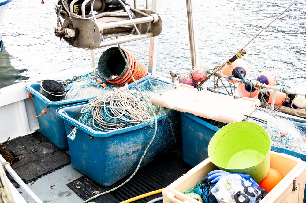 Climate-smart fishing report | Marine Conservation Society | Marine ...