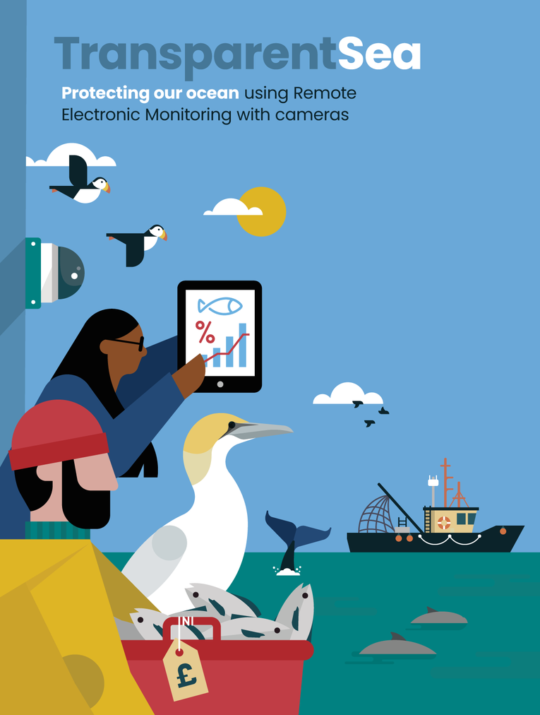 TransparentSea | Marine Conservation Society