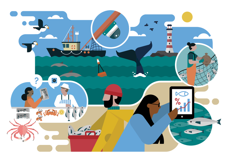 TransparentSea | Marine Conservation Society