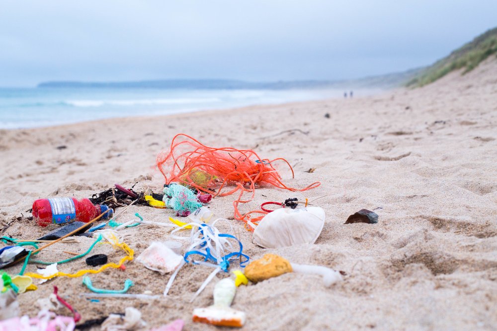 Understanding your plastic habits | What you can do | Marine ...