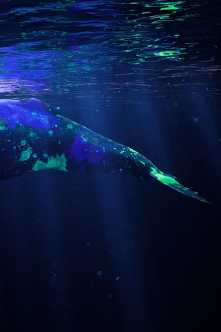 Stop Ocean Poison | Marine Conservation Society