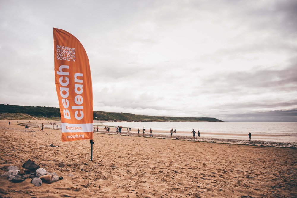 The Great British Beach Clean events | What you can do | Marine ...