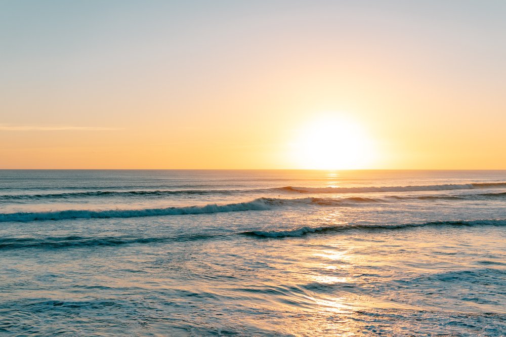 Positive Ocean News: 2022 in review | Marine Conservation Society