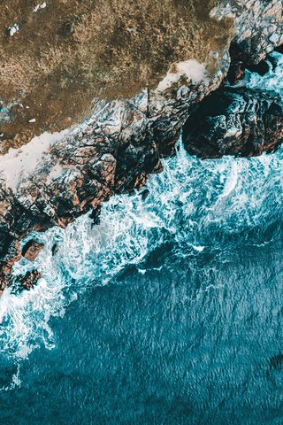 Big Blue Day | What you can do | Marine Conservation Society