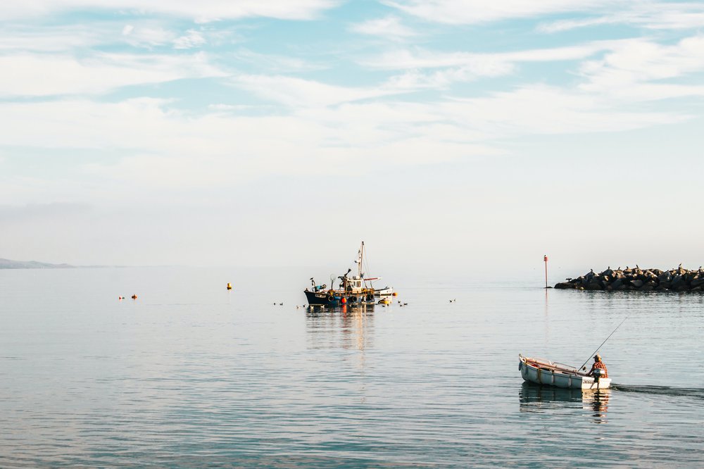 How the Good Fish Guide works | What you can do | Marine Conservation ...