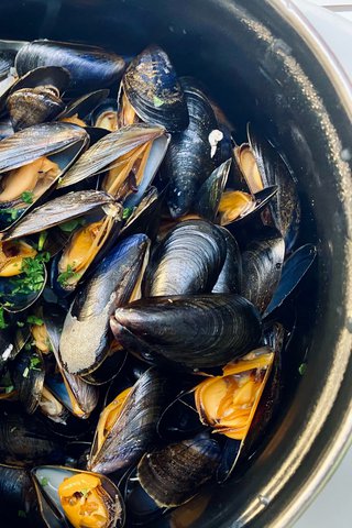 Why you should be eating more shellfish | Latest news | Marine ...