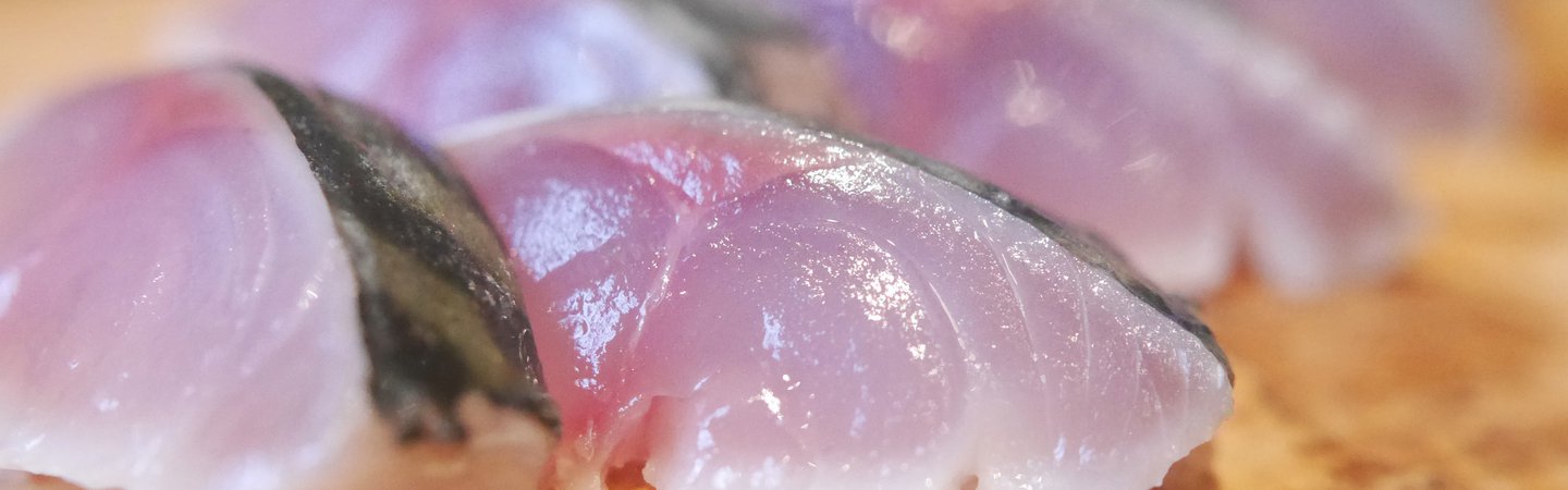 Shime Saba- Japanese cured mackerel | Marine Conservation Society