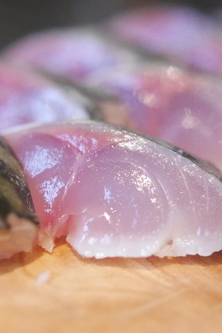 Shime Saba- Japanese cured mackerel | Marine Conservation Society